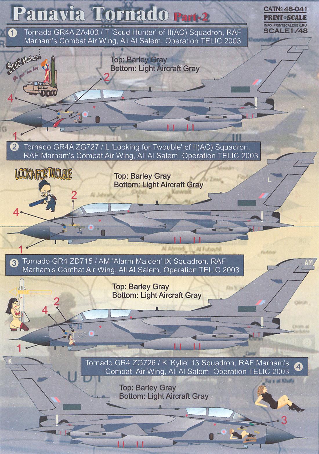 Print Scale Decals 1/48 PANAVIA GR Mk.I TORNADO Jet Fighter Part 2 | eBay